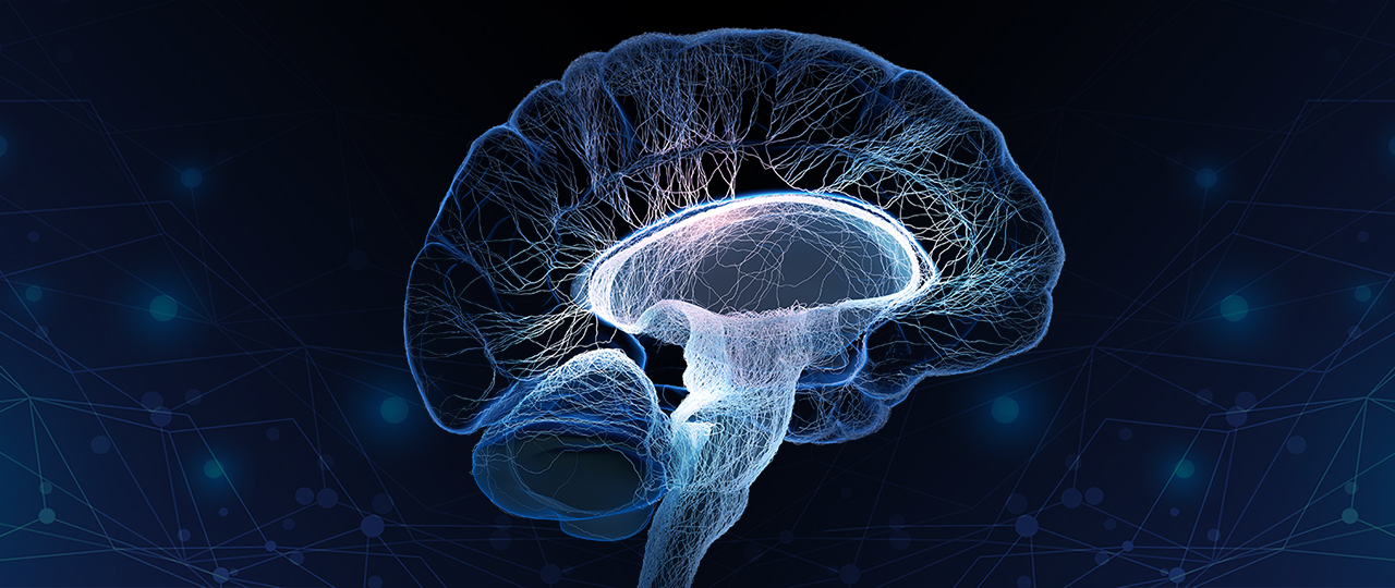 上海纽约大学科学家开发出计算机模型解释大脑如何学会归类 | 上海纽约大学