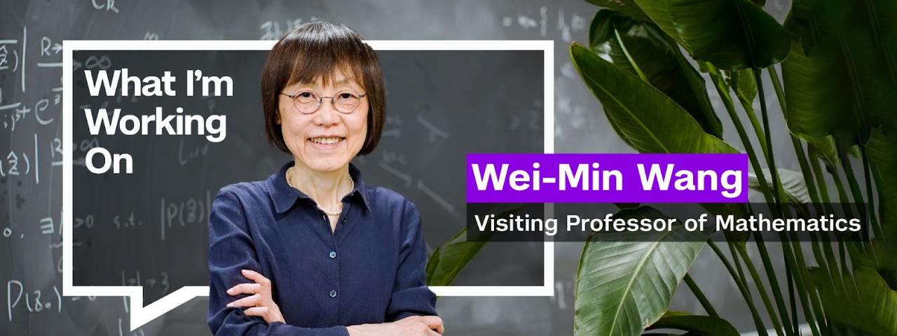 What I’m Working On: Visiting Professor of Mathematics Wei-Min Wang ...